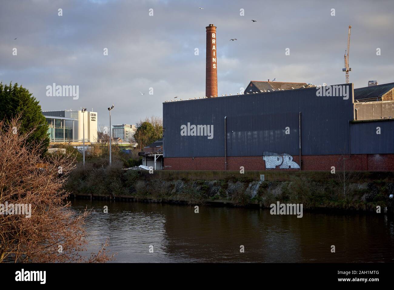 The old Brains Brewery site, Cardiff, South Wales Stock Photo - Alamy