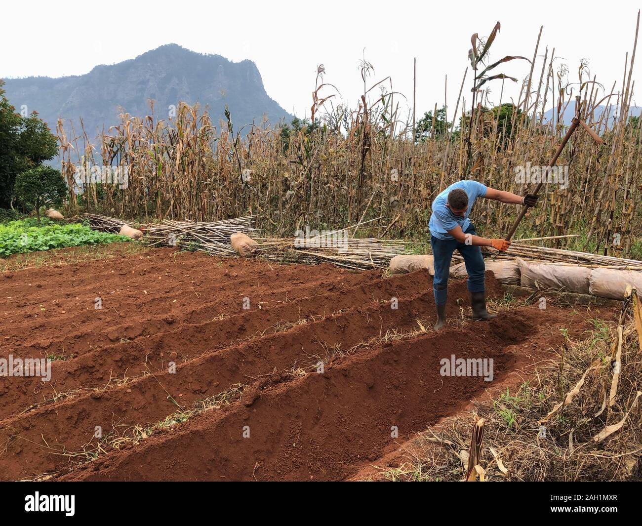The man with the hoe hi-res stock photography and images - Alamy