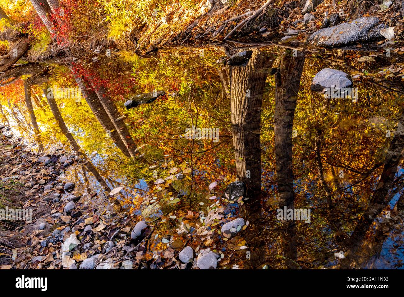 Autumn tree colors hi-res stock photography and images - Alamy