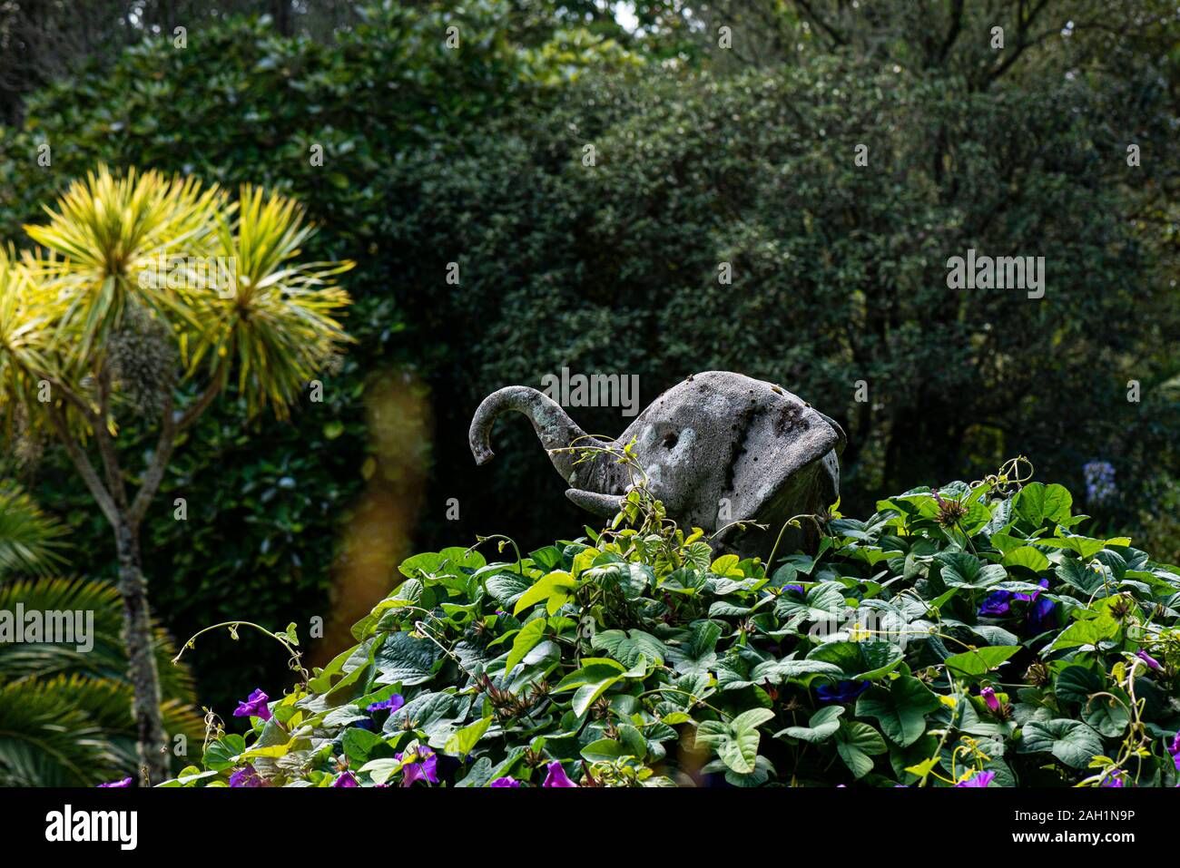 The elephant head statue on top of the blue dawn flower (Ipomoea indica ...