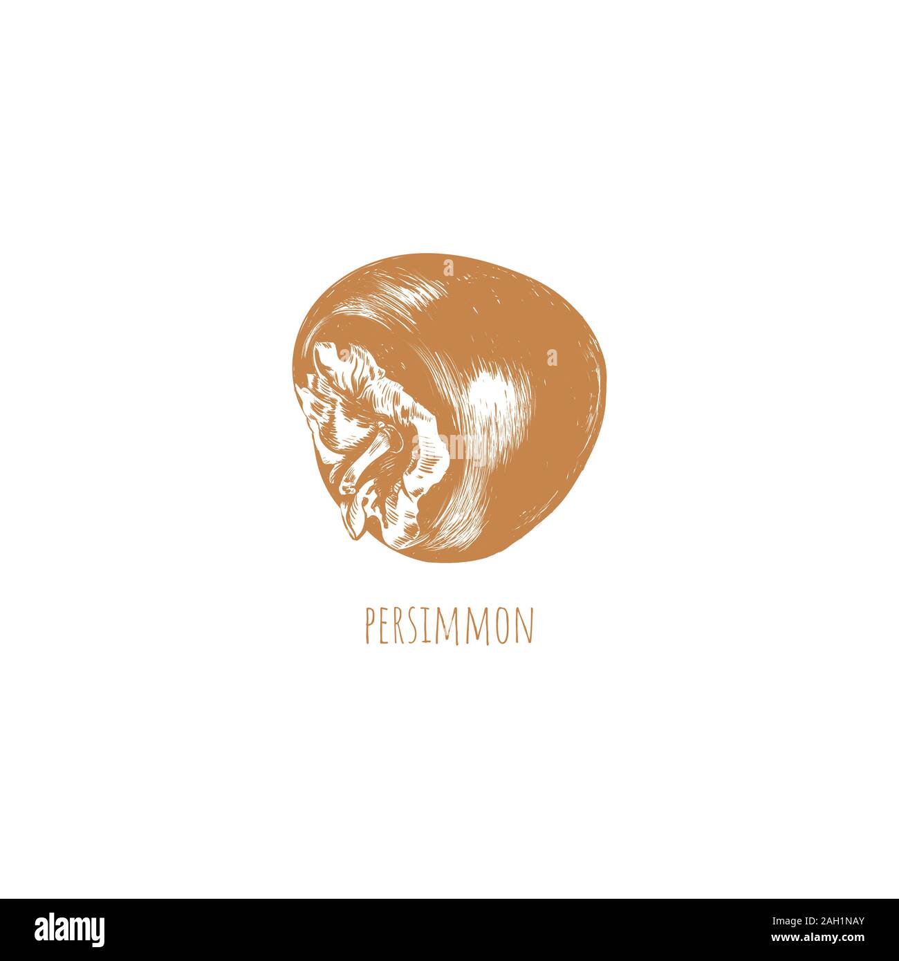 Persimmon artwork hi-res stock photography and images - Alamy