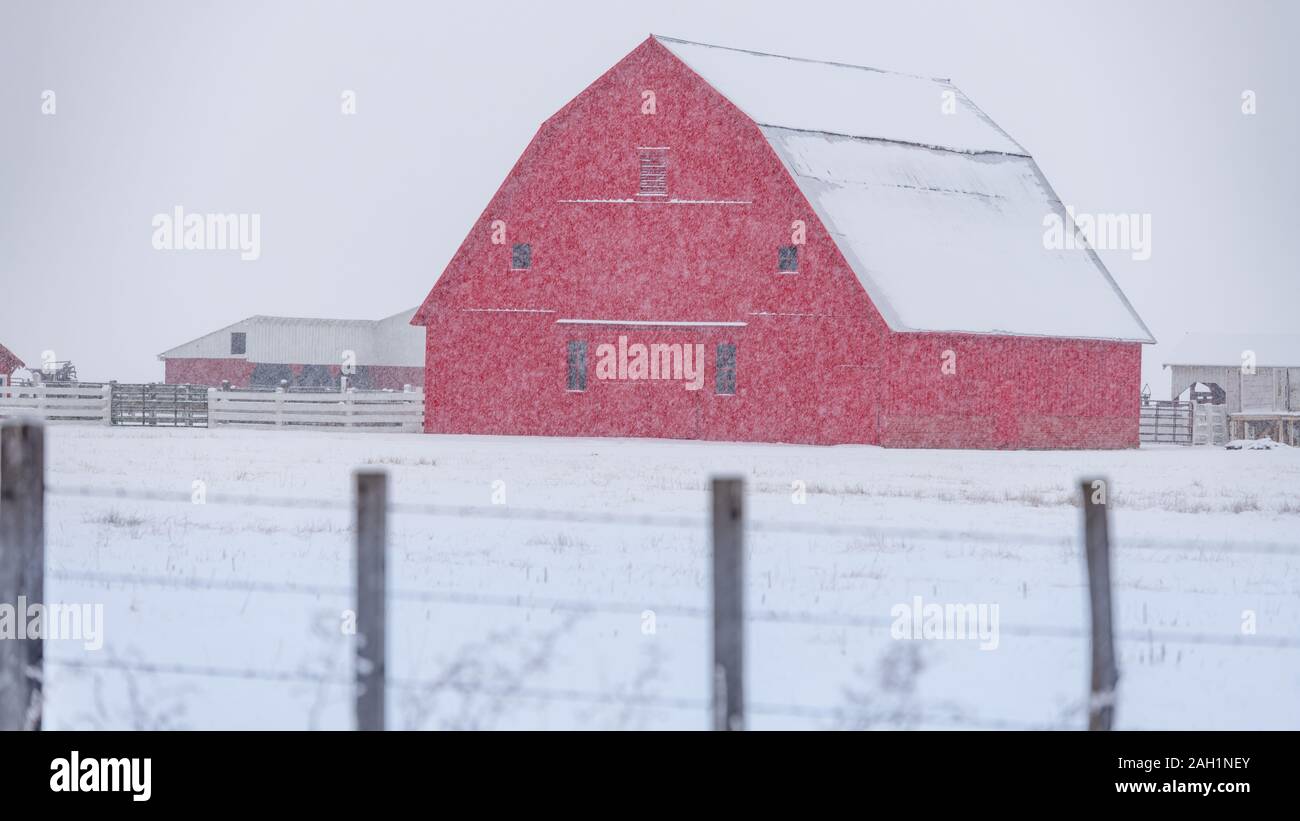 Beautiful red barn in winter with snow on the ground Stock Photo - Alamy