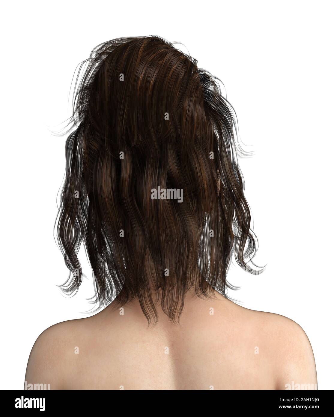 Woman Back Head on Isolated White, 3D Rendering Stock Photo - Alamy