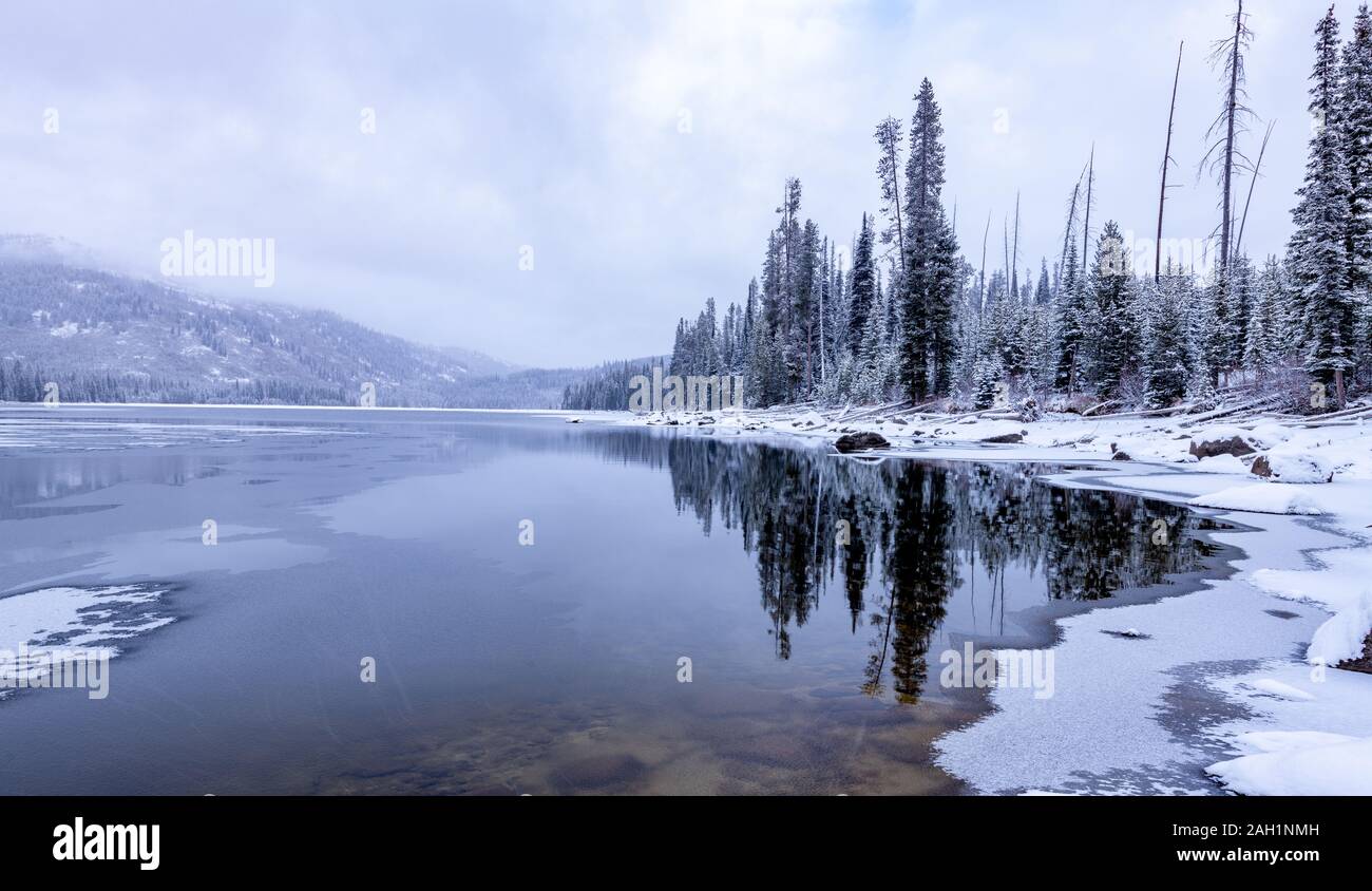 Snow and ice line a still lake with a looming forest Stock Photo - Alamy