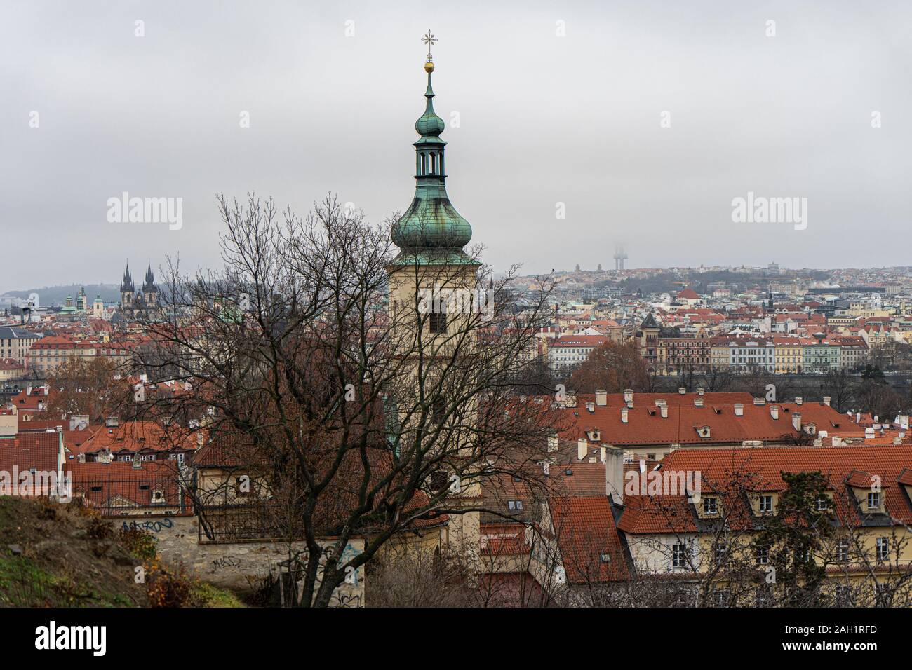 Prague is the capital and largest city in the Czech Republic, the 14th ...