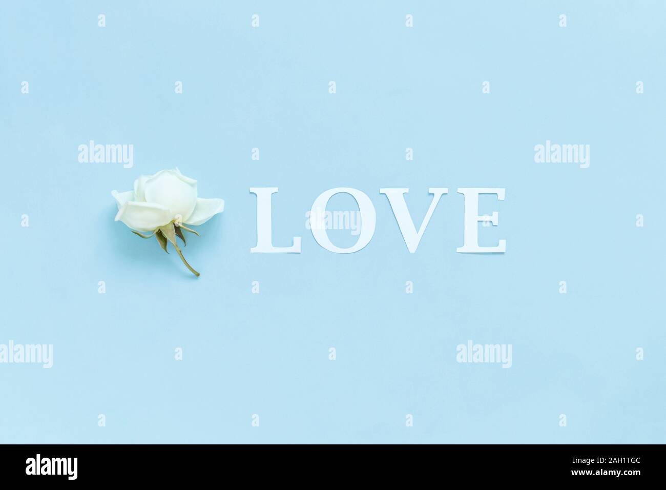 Word LOVE and flower on a light blue background top view Stock Photo ...