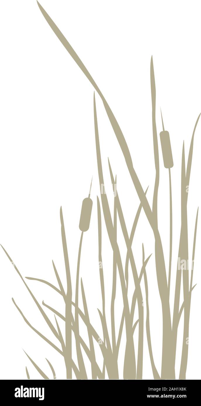 Silhouette of Reed Bush. Vector Illustration Stock Vector Image & Art ...