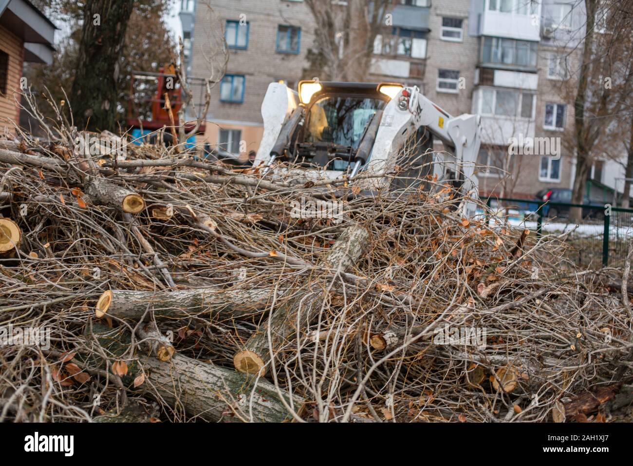 Fascinating Who Removes Fallen Trees From Roads Gallery