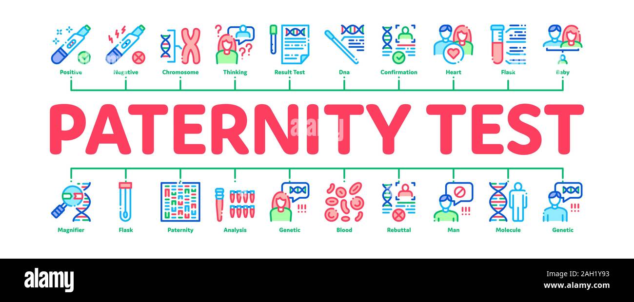 Paternity Test Dna Minimal Infographic Banner Vector Stock Vector Image ...