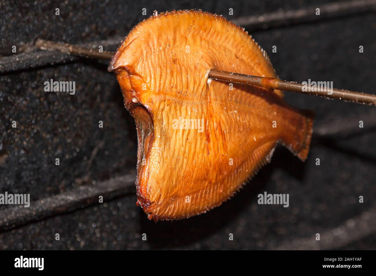 European plaices hi-res stock photography and images - Alamy