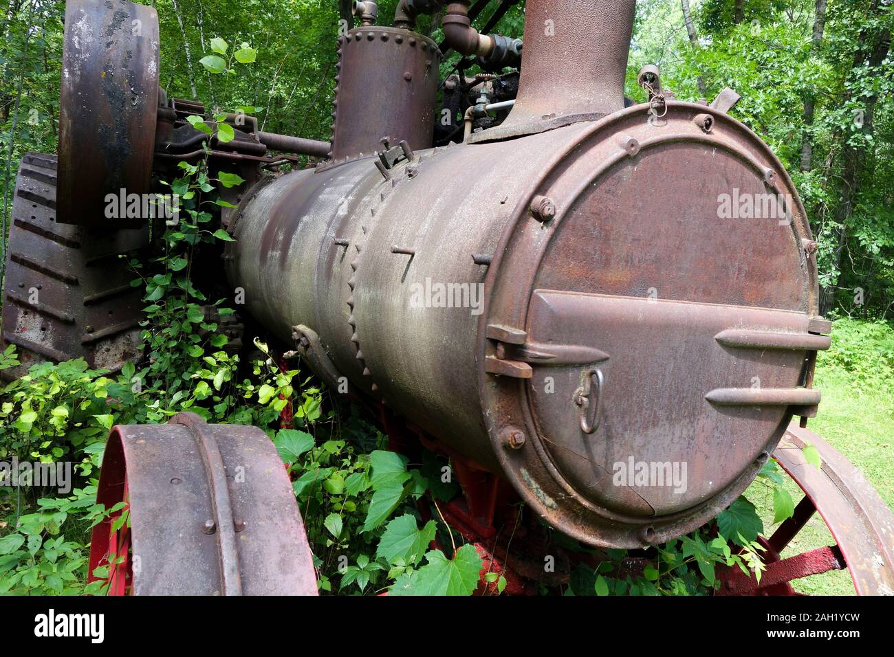 Antique steam powered tractor standing alone among Minnesota pine trees ...