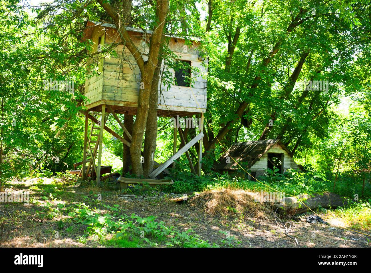 Homemade tree house with ladder Stock Photo - Alamy