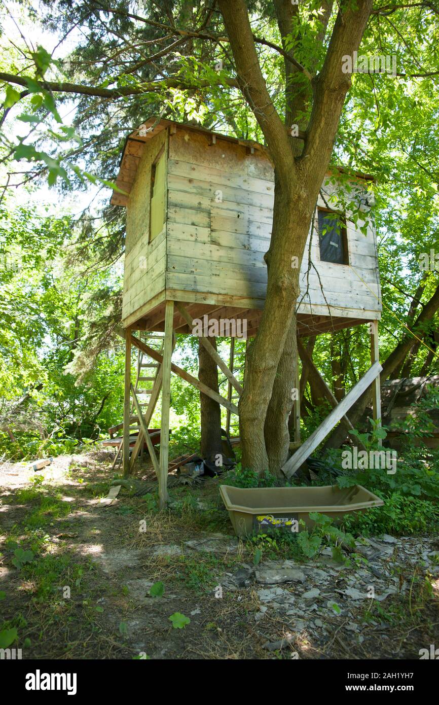 Homemade tree house with ladder Stock Photo - Alamy