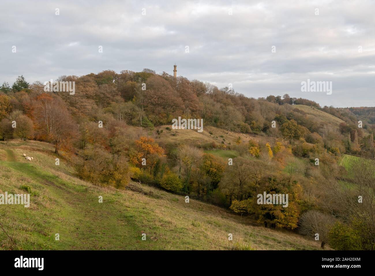 Landscape photo of the Admiral Hood Monument near Butleigh in Somerset ...