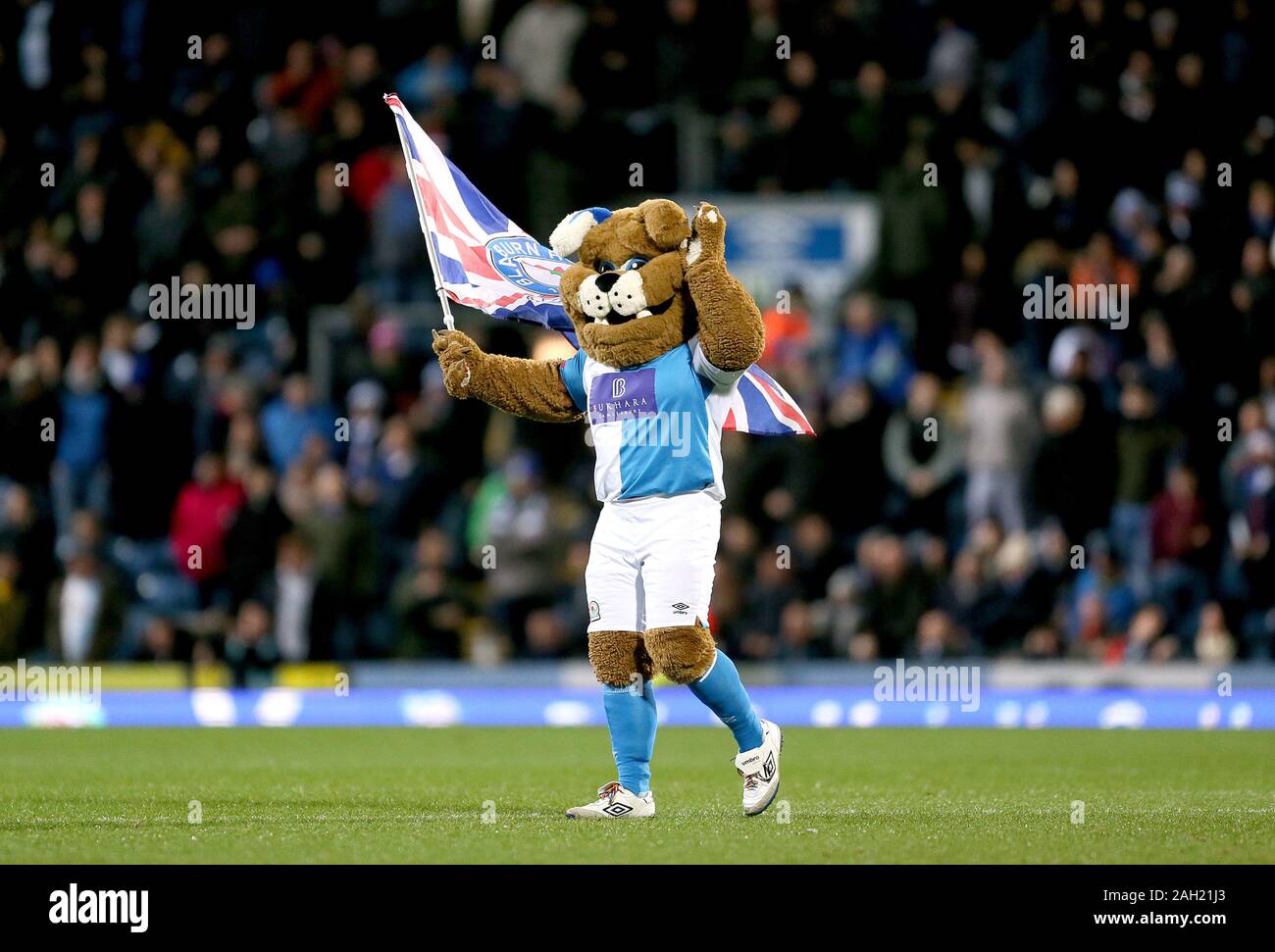 Football mascot dog hi-res stock photography and images - Alamy
