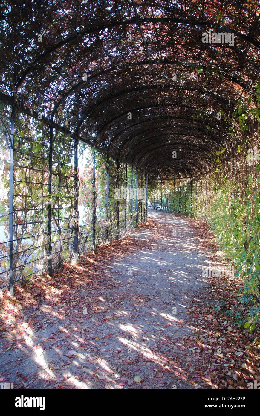 Roof path in the gardens of the Schonbrunn Palace Stock Photo - Alamy