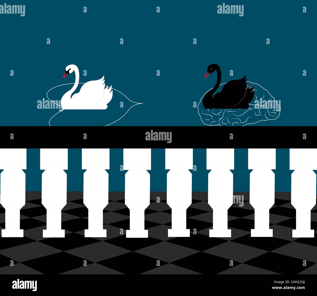 illustration of a black swan and a white swan on the lake creating ...