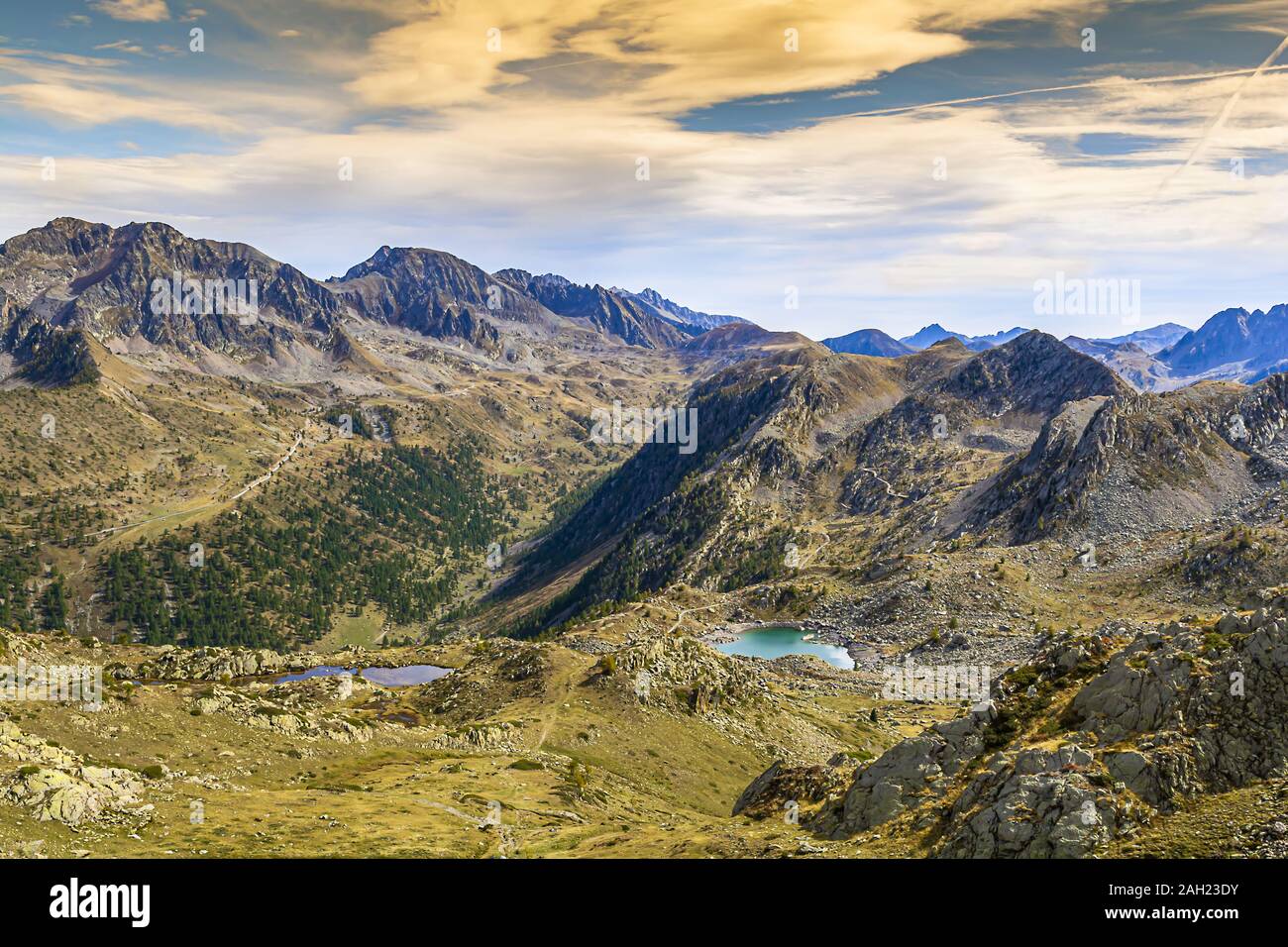 The colors of autumn, dominated by the red of blueberries, the intense ...