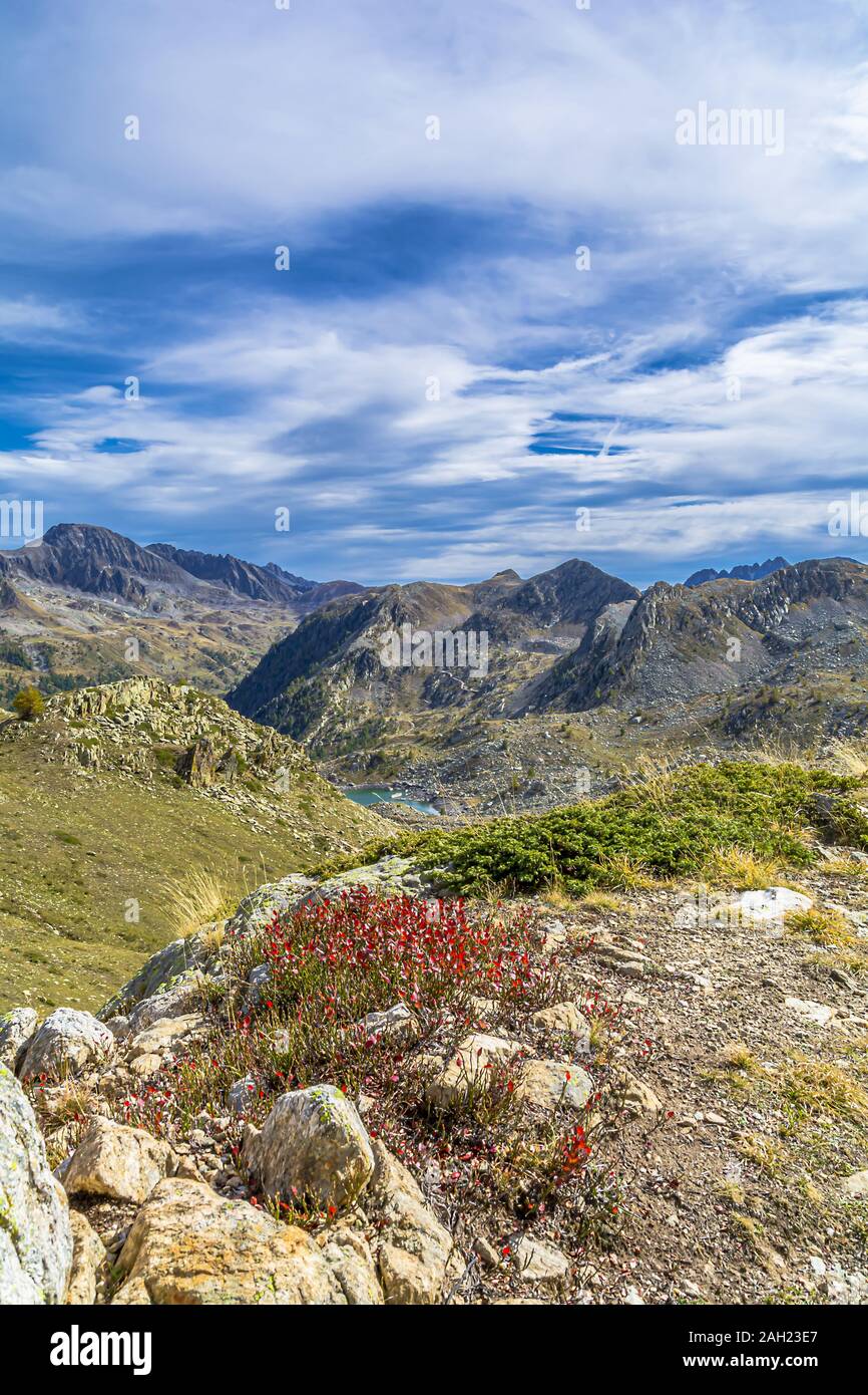 The colors of autumn, dominated by the red of blueberries, the intense ...