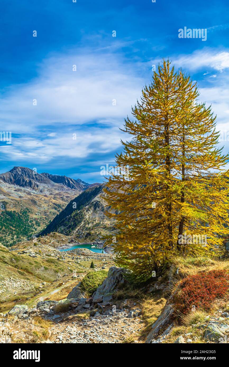 Blue Intense Sky High Resolution Stock Photography and Images - Alamy