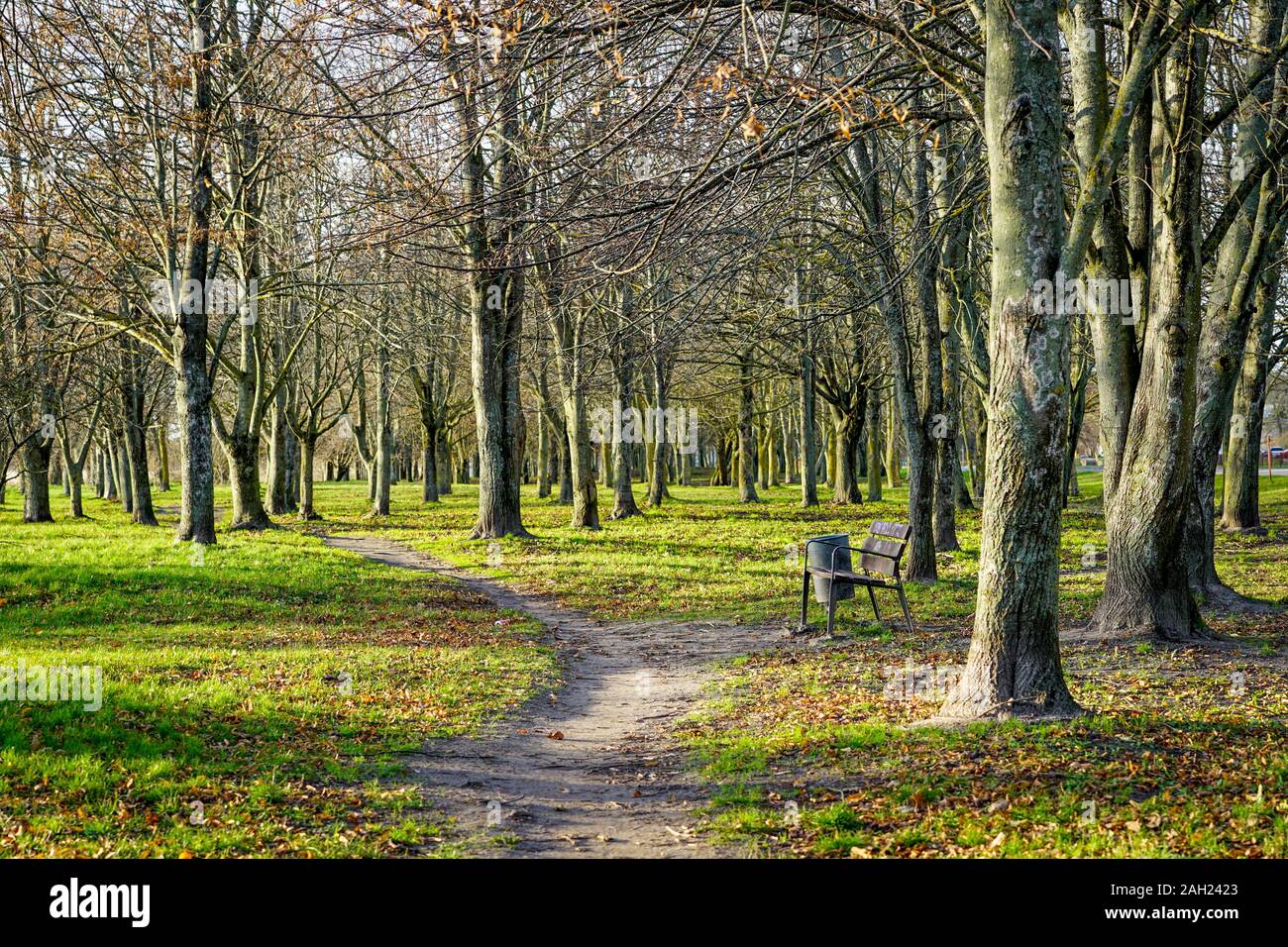 winding walking path with bench in autumn park, trees without leaves ...