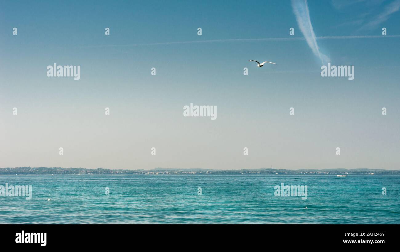 Flying over the horizon hi-res stock photography and images - Alamy