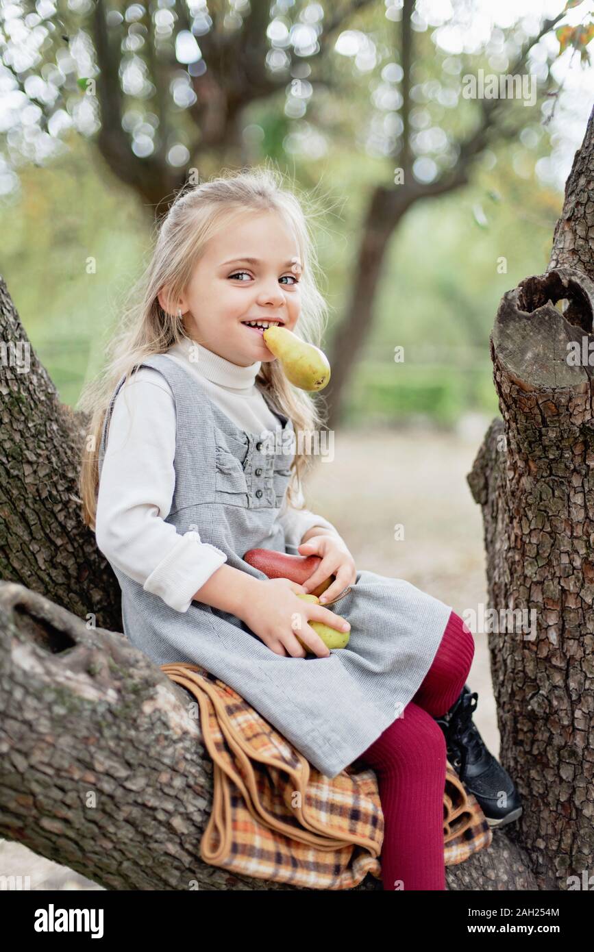 Child picking pears on farm in autumn. Little girl playing in pears ...