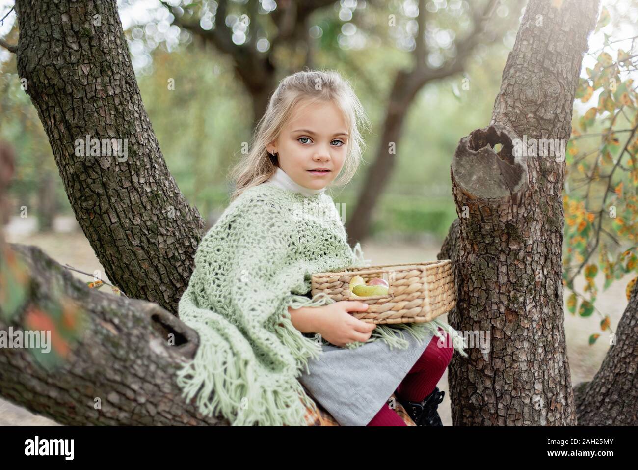 Child picking pears on farm in autumn. Little girl playing in pears ...