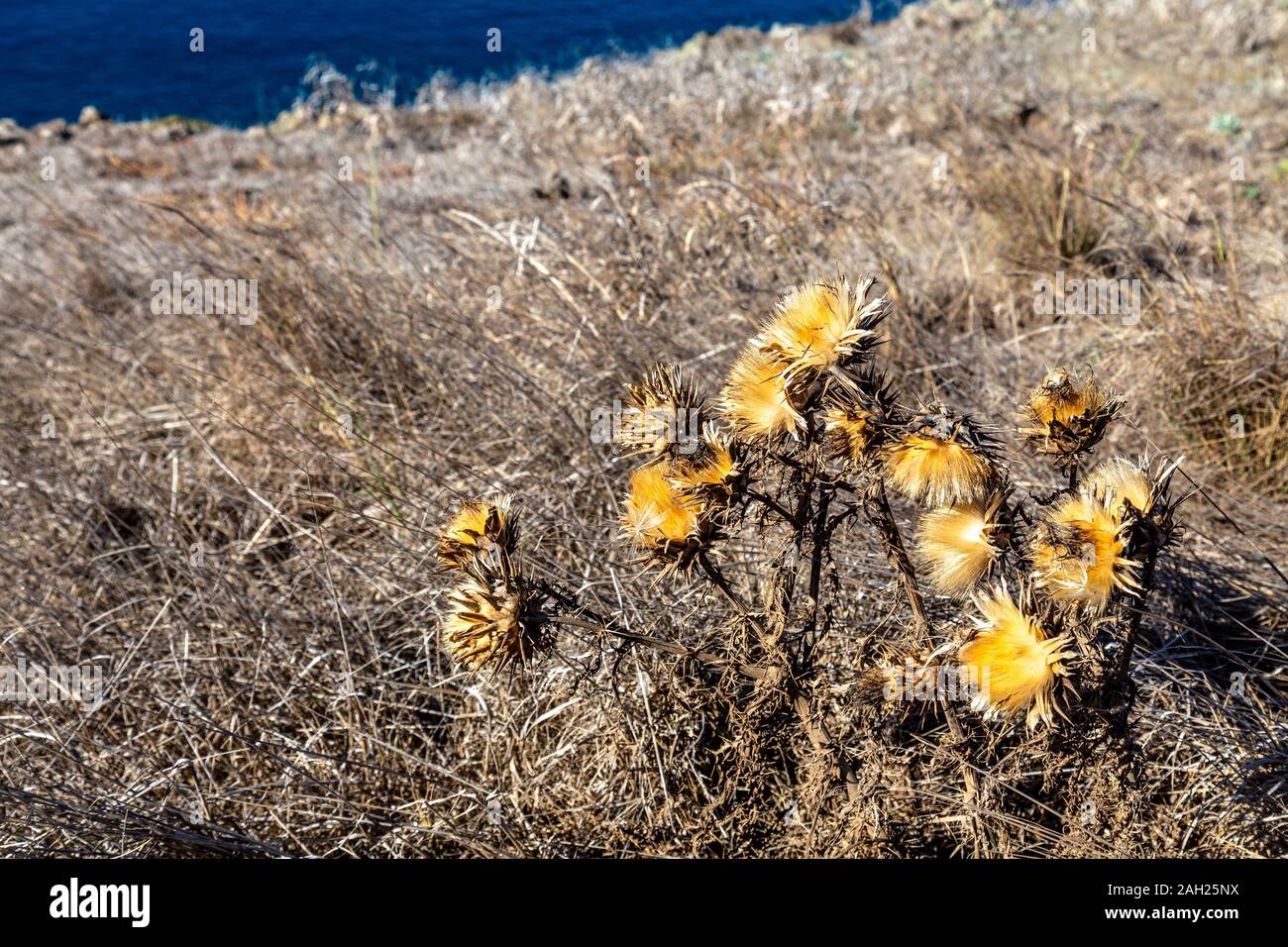 Vereda da Ponto de Sao Lourenco PR8, Madeira, Portugal Stock Photo - Alamy