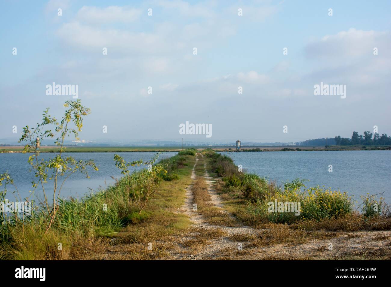 Pathway in between two water pools, surrounded with colorful nature ...