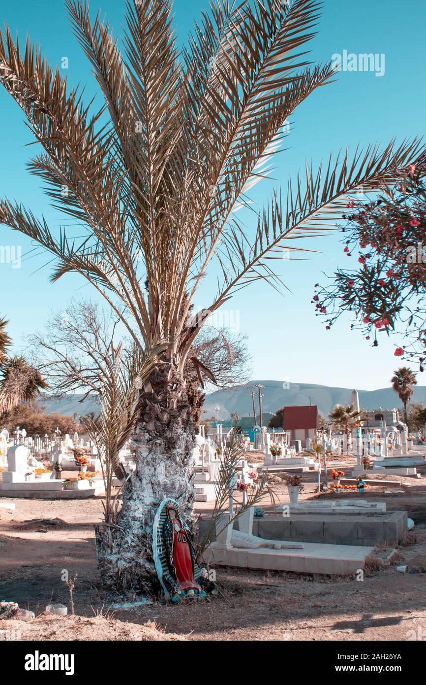 Mexican cemetery. The Day of the Dead. Ensenada. Baja California ...