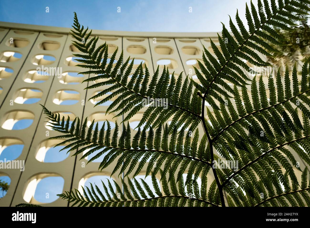 LAX Theme building. Los Angeles International Airport - LAX. Los ...