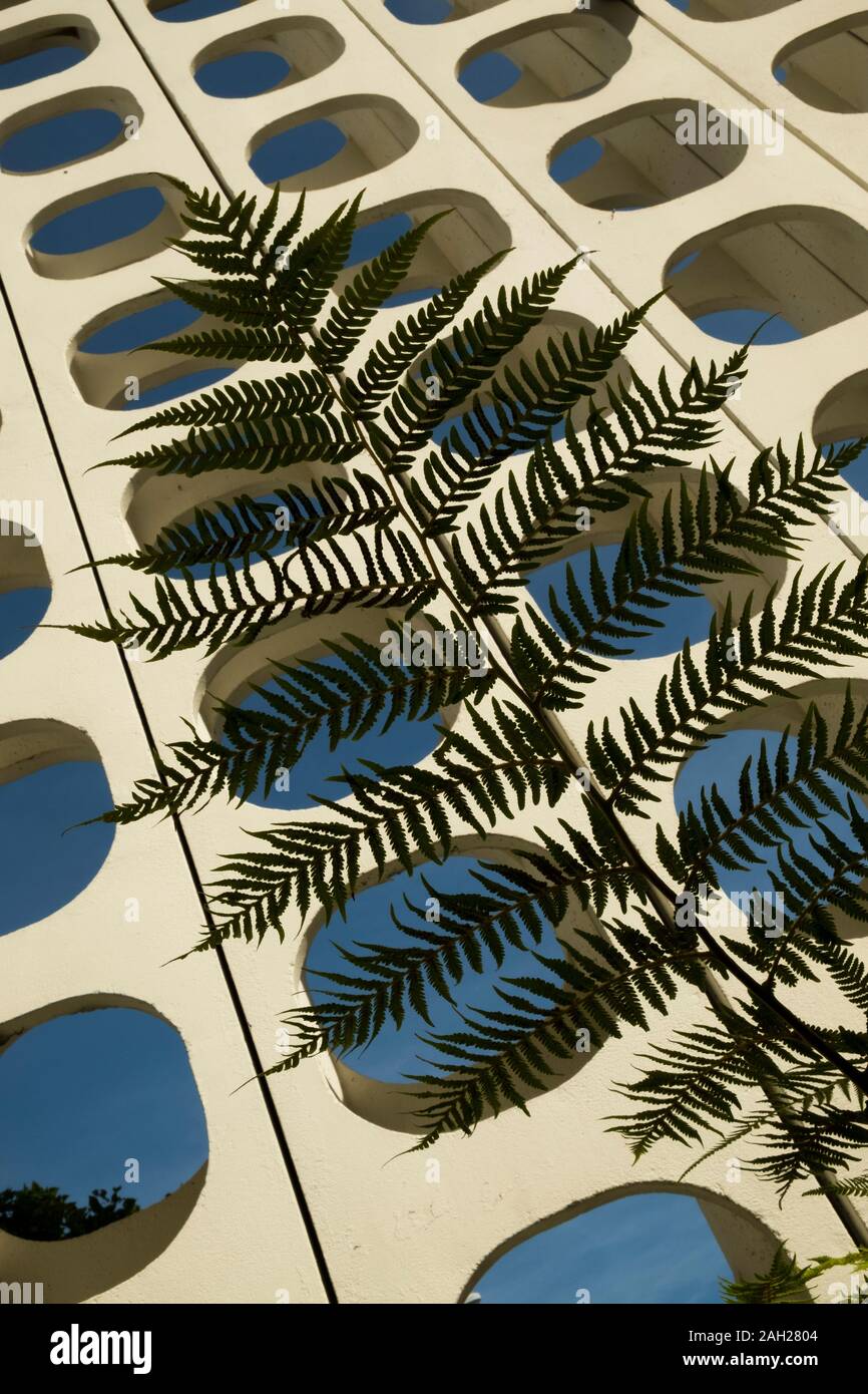 LAX Theme building. Los Angeles International Airport - LAX. Los ...