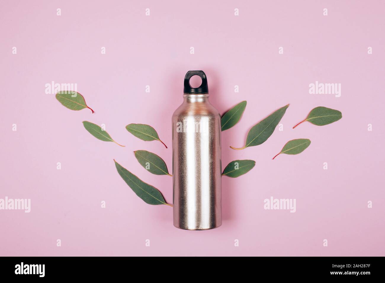 Zero waste bottle on palm leaf and pastel pink background Stock Photo ...