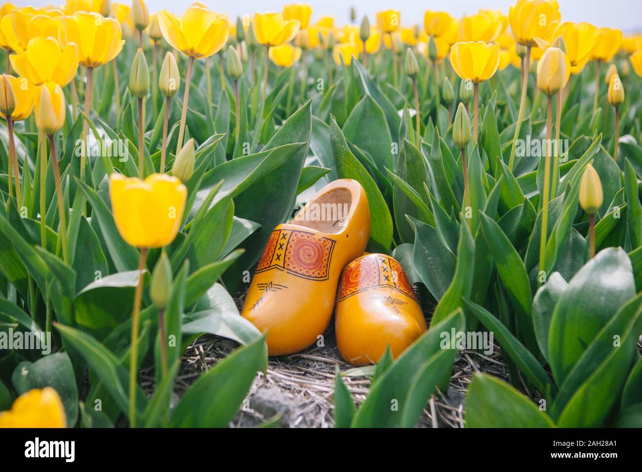 Keukenhof souvenir hi-res stock photography and images - Alamy