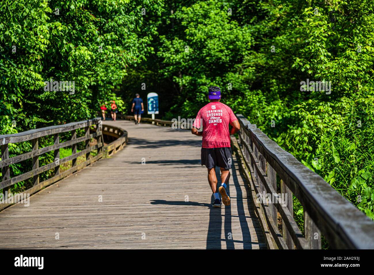 Wooden walking board hi-res stock photography and images - Alamy