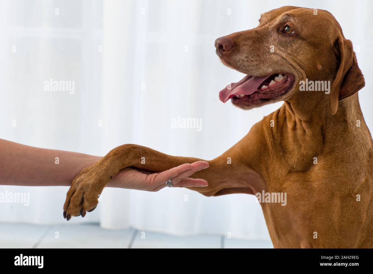 Hand shake images hi-res stock photography and images - Alamy