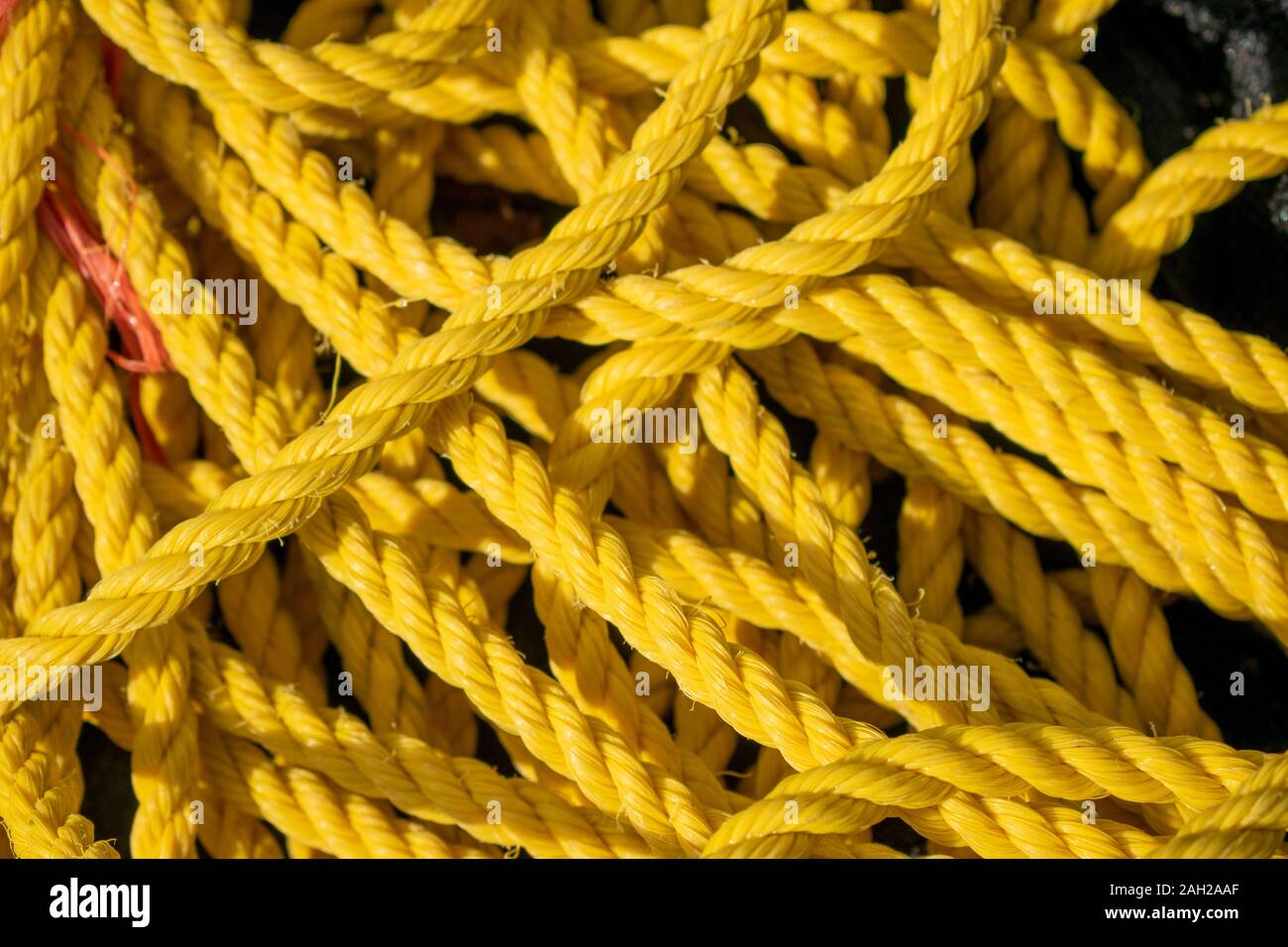 A pile of rope sits in a yard in Sebastopol, CA Stock Photo - Alamy