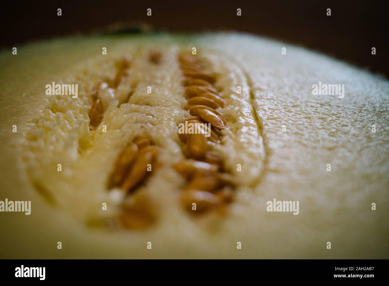 A close-up shot of melon Stock Photo - Alamy
