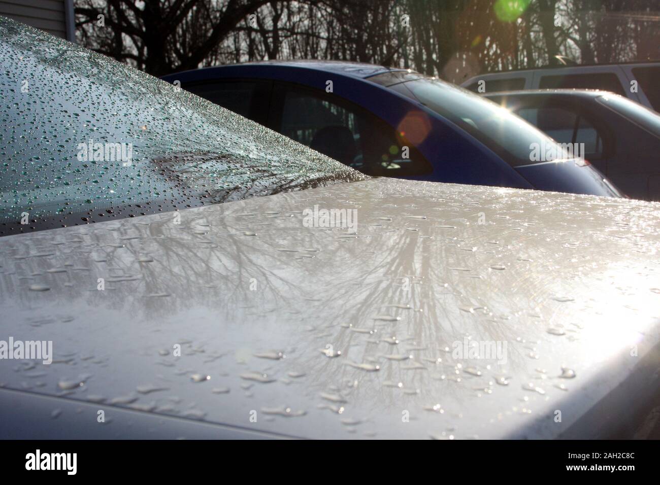 Rain drops on car's body Stock Photo - Alamy