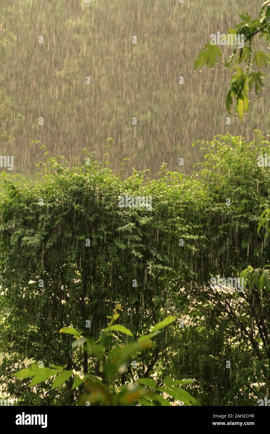 Muggy conditions hi-res stock photography and images - Alamy