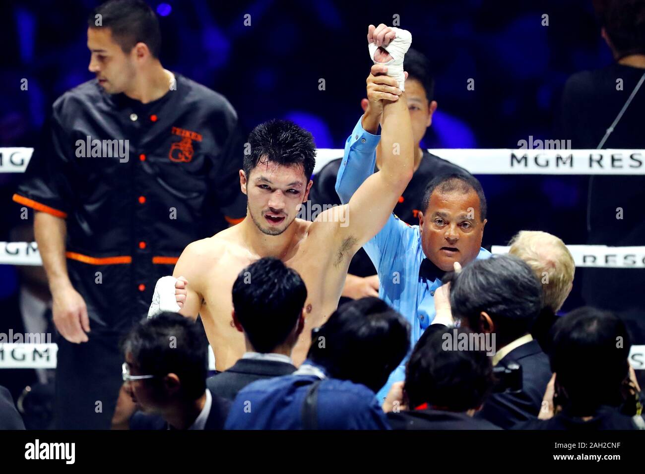 Kanagawa, Japan. 23rd Dec, 2019. Ryota Murata (JPN) Boxing : WBA ...