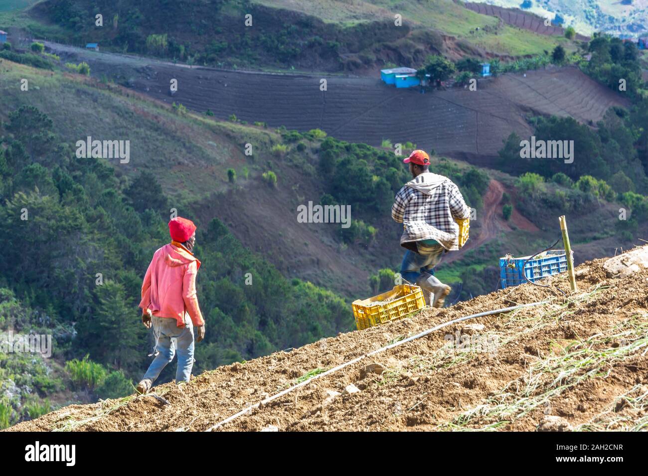 dramatic image of Haitian farm workers cultivating a side of a mountain ...