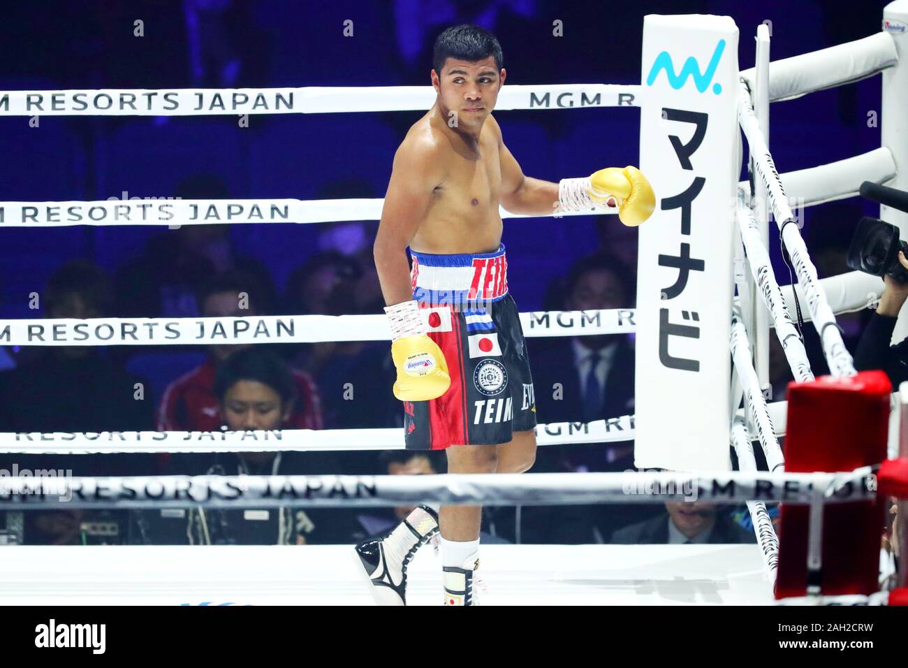 Kanagawa, Japan. 23rd Dec, 2019. Roman Gonzalez (NCA) Boxing : 8R 116lb ...
