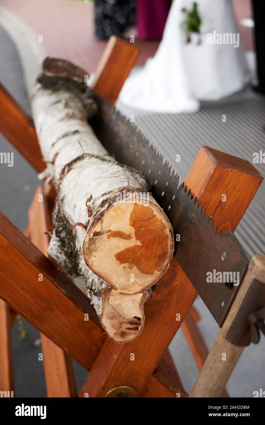 wedding game tree trunk saw Stock Photo - Alamy