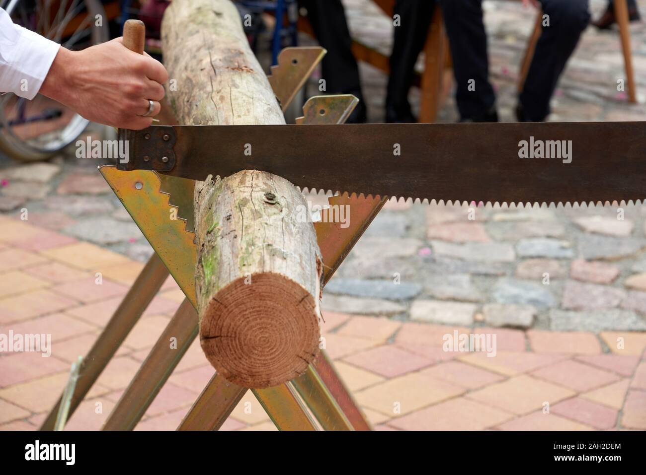 wedding game tree trunk saw Stock Photo - Alamy