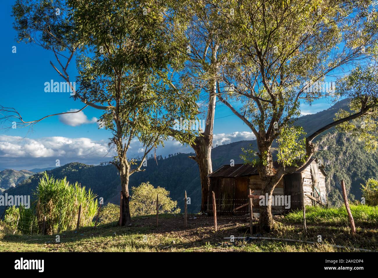 dramatic image of an isolated shack high in the caribbean mountains of ...