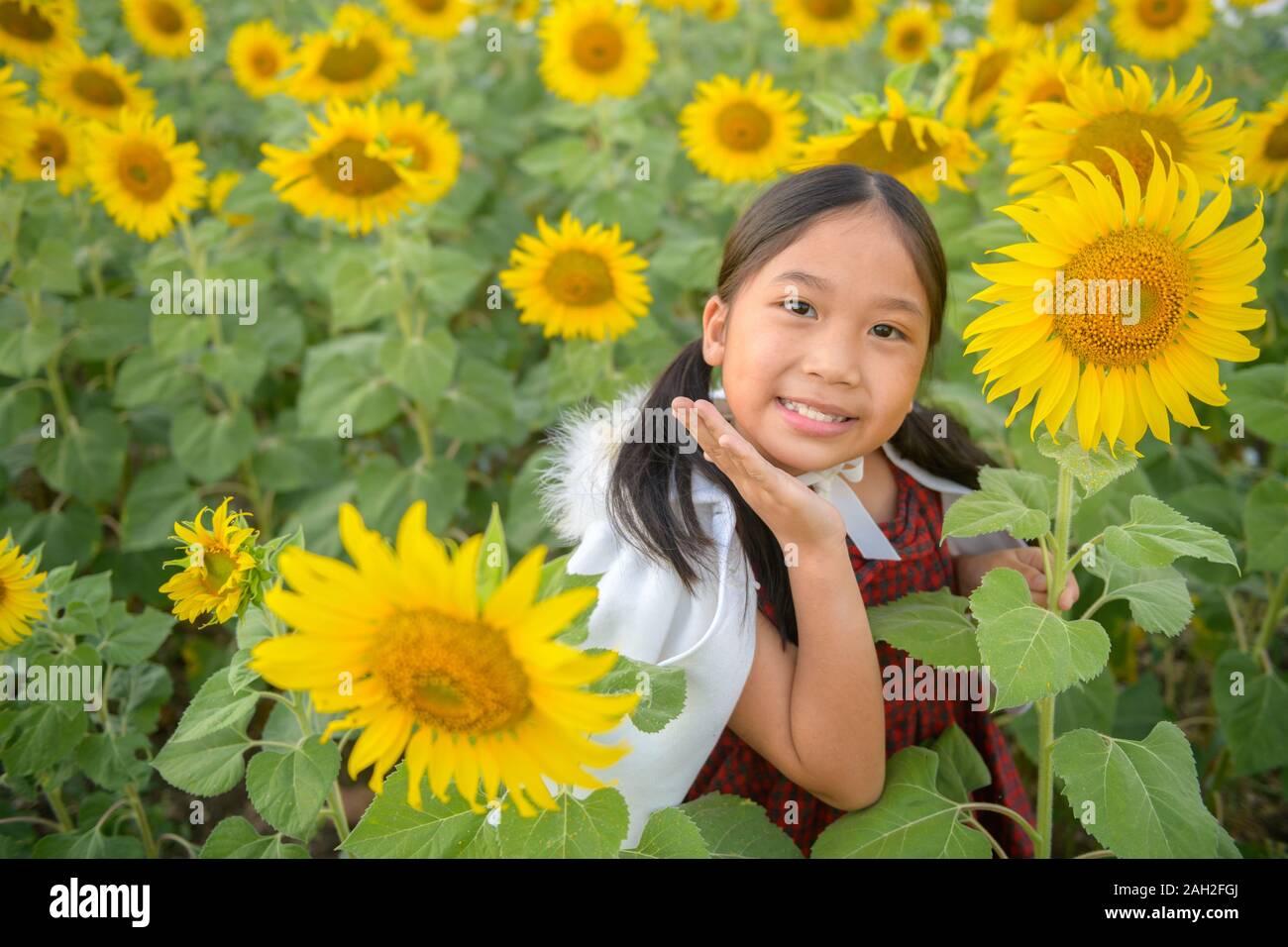 Happy cute asian girl smile with sunflower, travel and relaxation concept Stock Photo - Alamy