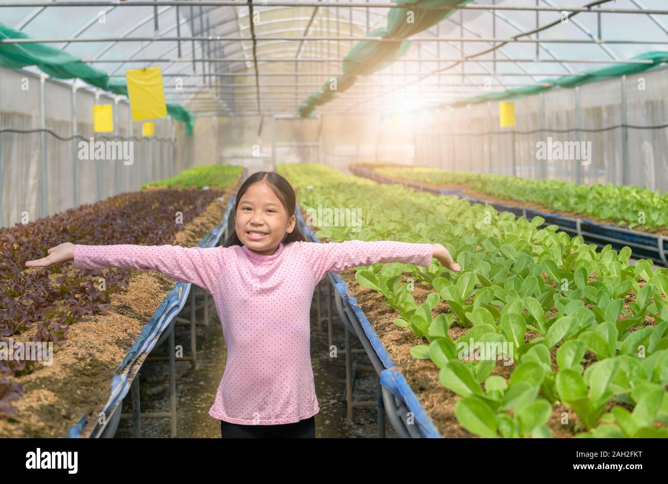 Happy cute asian girl smiling and presenting with hand to organic ...