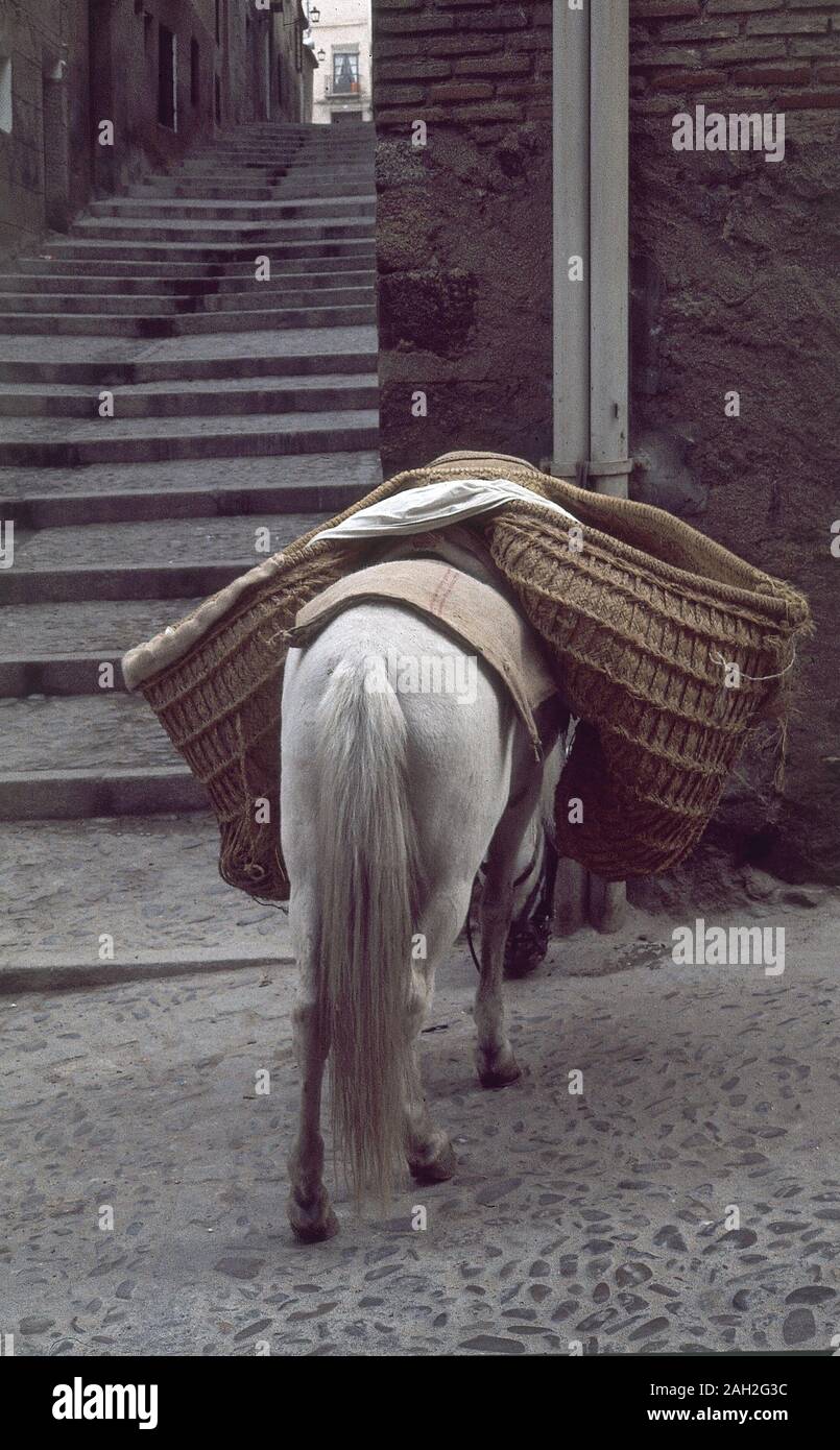 BURRO CON ALFORJAS. Location: EXTERIOR. SPAIN Stock Photo - Alamy